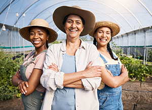 Understanding Perils Coverage